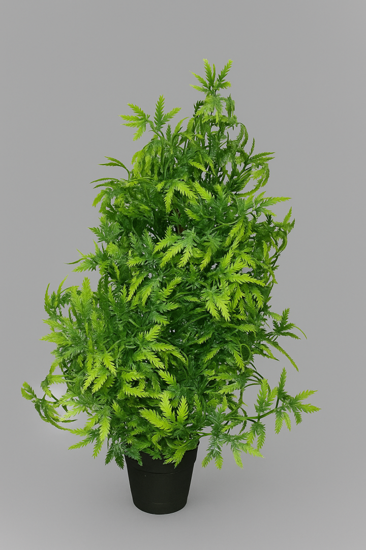 PLANTA CON MACETA 35CM | Bazar Ardel